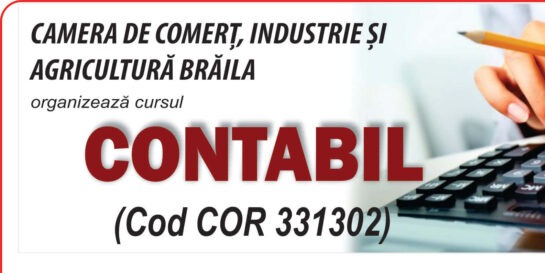 Curs Contabil / Format fizic - Camera de Comerț, Industrie și ...